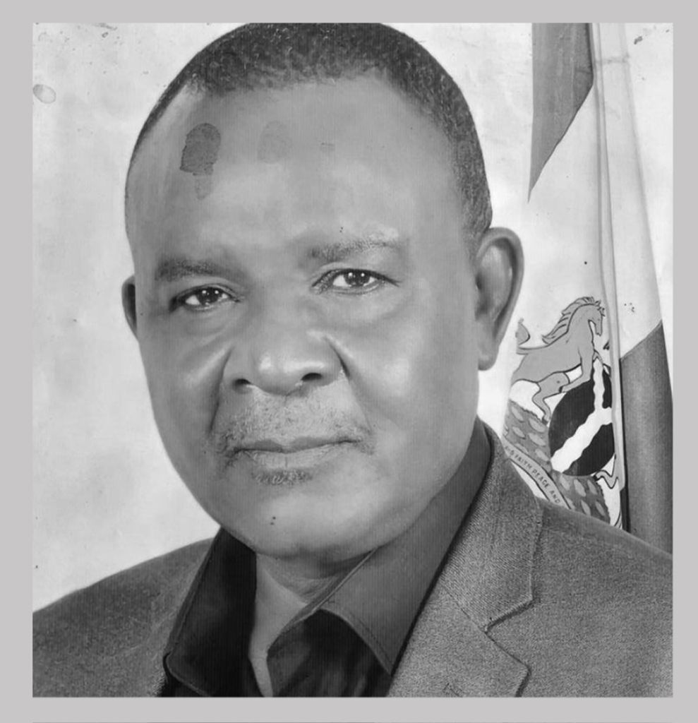Past Chairmen of Enugu North LGA - ENUGU NORTH LOCAL GOVERNMENT